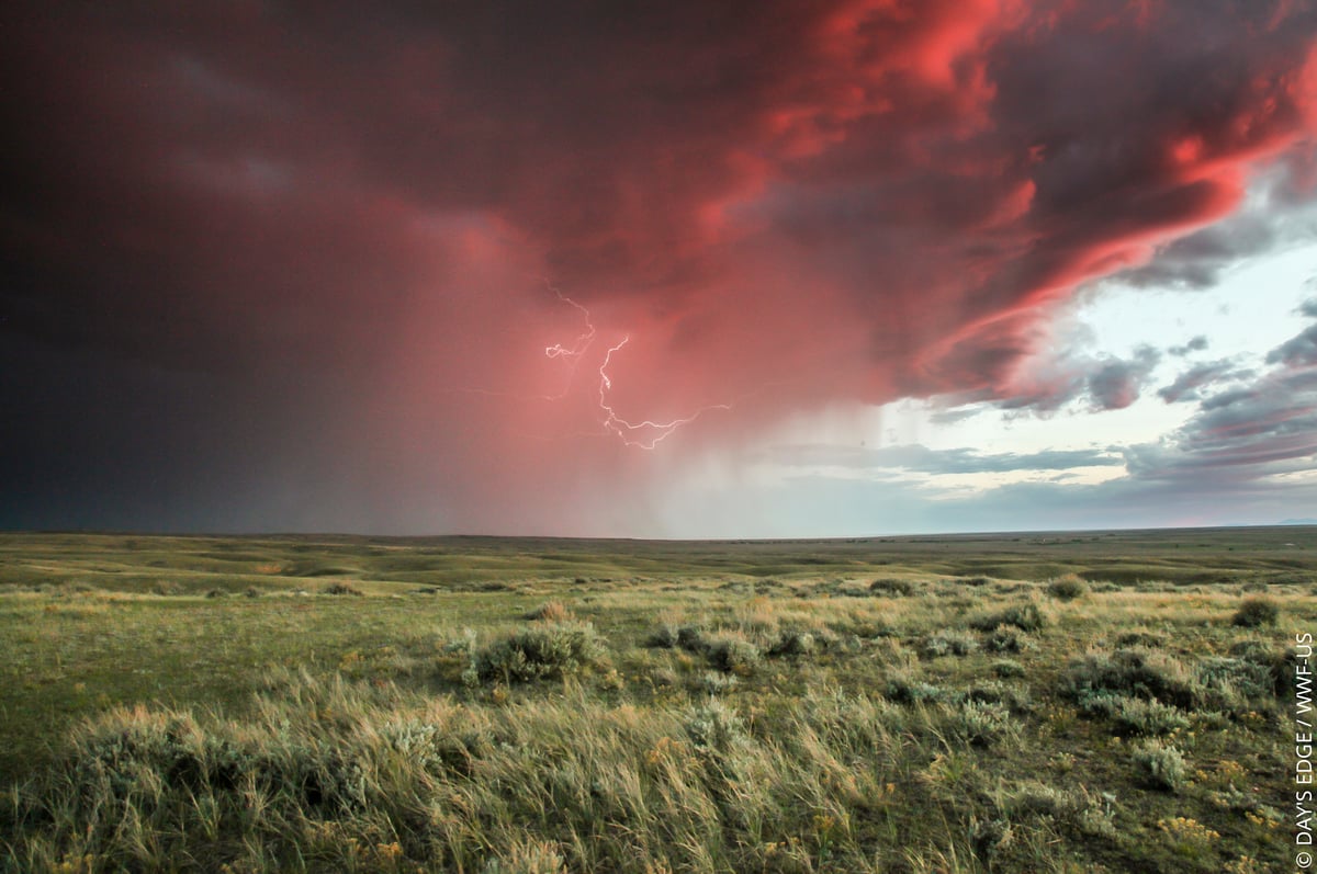 Natural world Zoom and desktop backgrounds